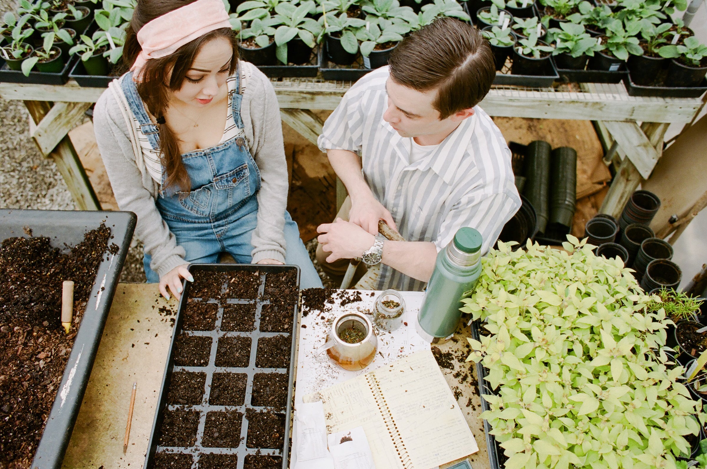 Piper & Leaf Tea Co. – Piper and Leaf Tea Co.