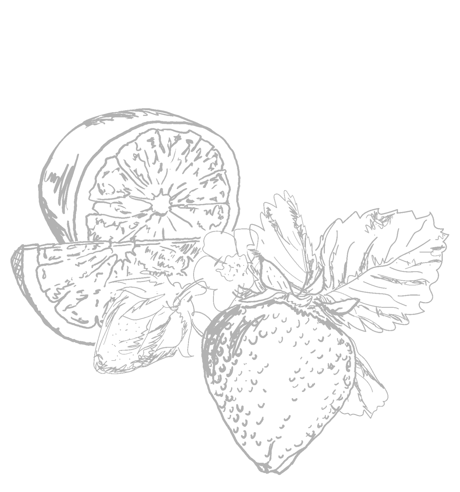 Best Sellers – Piper and Leaf Tea Co.